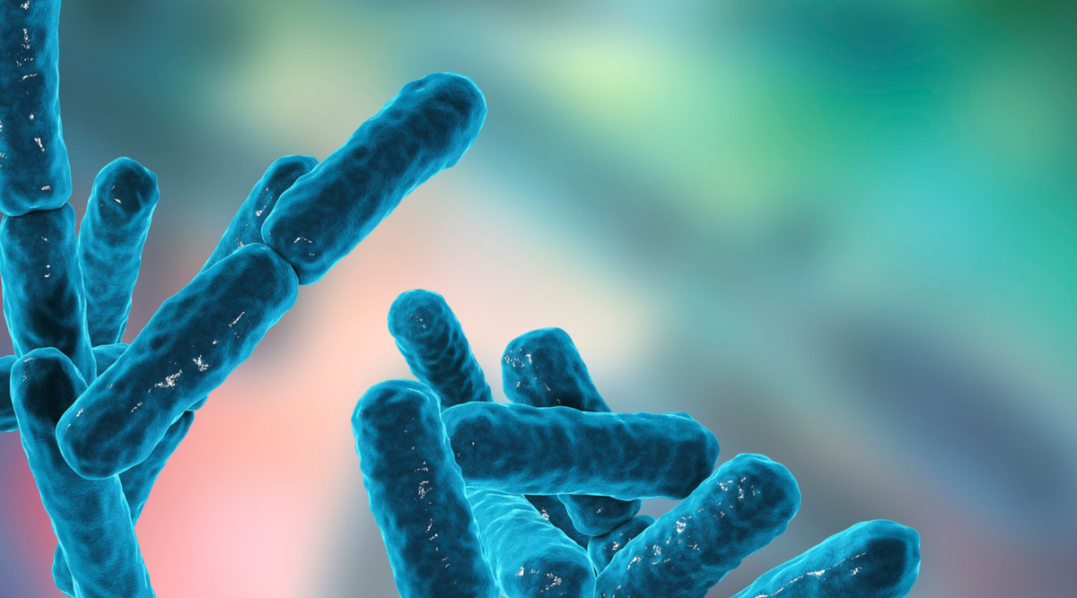 Lac-Shield™ - Maypro